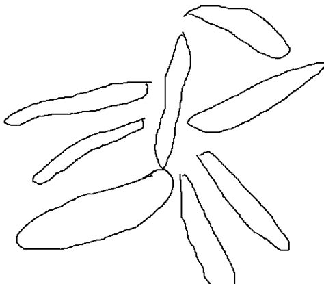 Radially Oriented Elongated Grains · Neperfepx Neper · Discussion 430 · Github