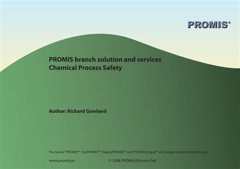 PDF PROMIS Branch Solution And Services Chemical Process Safety Chemical Process Safety The