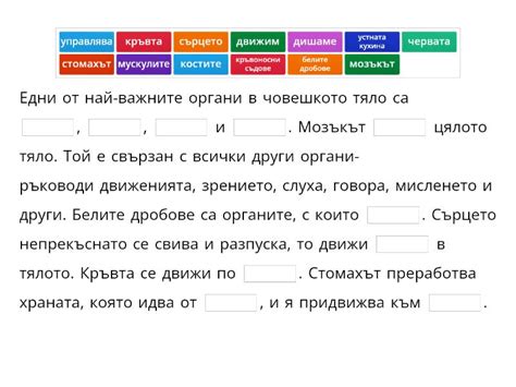 Основни органи в човешкото тяло Complete The Sentence