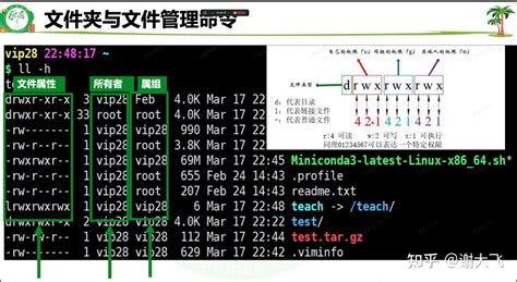 Linux常用文件管理相关命令 知乎