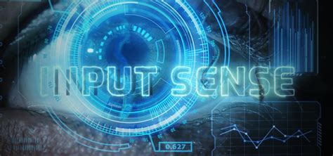 Input Sense