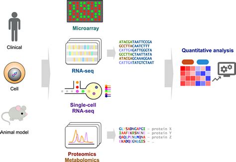 Quantitative Analysis Of High‐throughput Biological Data Juan 2023 Wires Computational