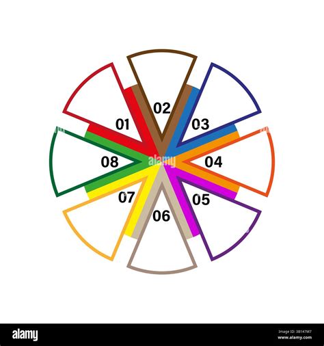 color pie chart numbered segments wheel vector infographics circle