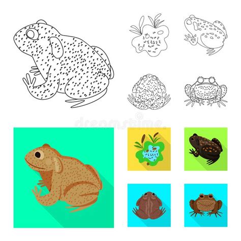Isolated Object Of Wildlife And Bog Symbol Set Of Wildlife And Reptile Vector Icon For Stock