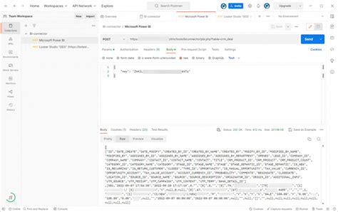 request debugging in bitrix24 bi connector