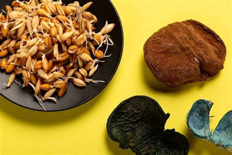 Steganography How To Hide Secret Data Inside An Image Or Audio File In Seconds Null Byte