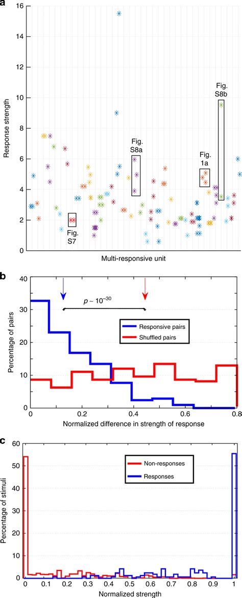 multi responsive units do not exhibit differences in response strength