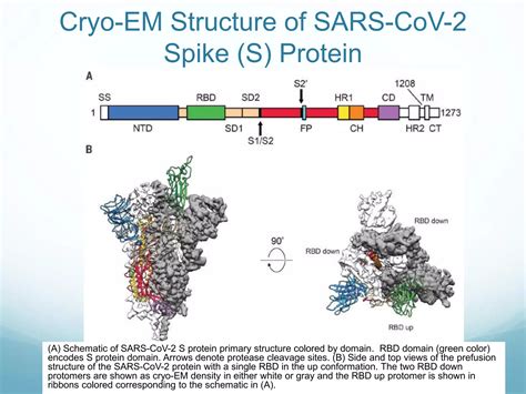 week 3 protein folding and structure pdf