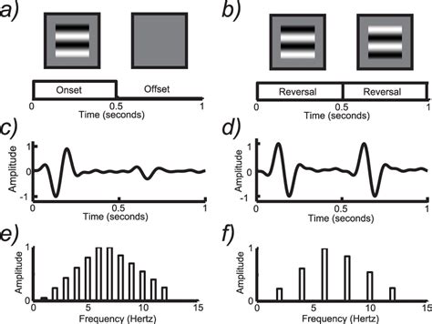 Visual Evoked Cortical Potential Semantic Scholar