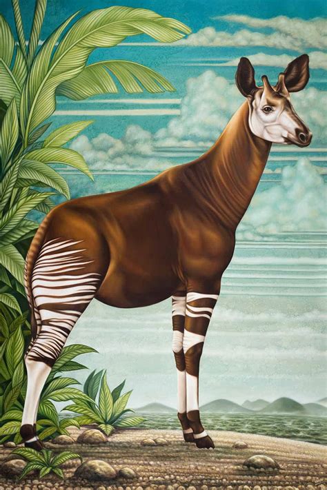 Okapi Cara Saven Wall Design