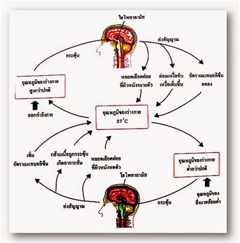 ชีวะวิทยา