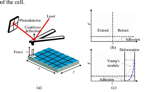 Force Distance Curve 25 Download Scientific Diagram