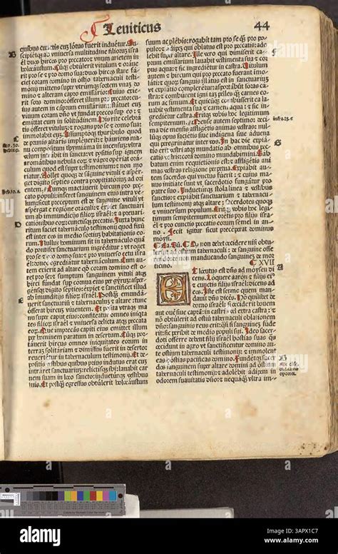 A Critical Edition Of The Bible Featuring Concordances For Both The Old