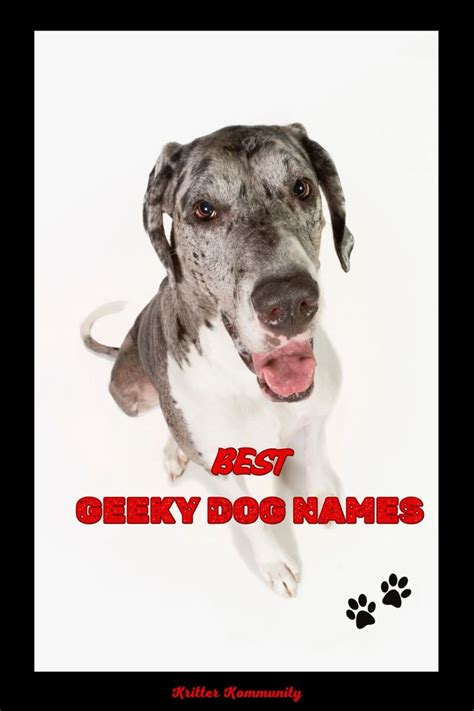 Paw Sitively Perfect Science Dog Names A Playful Guide 🐾🔬 • Kritter