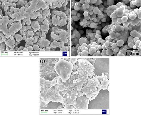 a sem micrograph of pure pani thin film b sem micrograph of silver