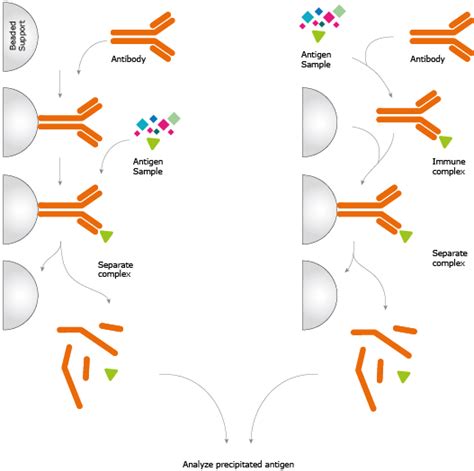 Methods Antibodypedia