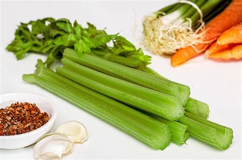 Стебель сельдерея - польза и вред, калорийность, рецепты