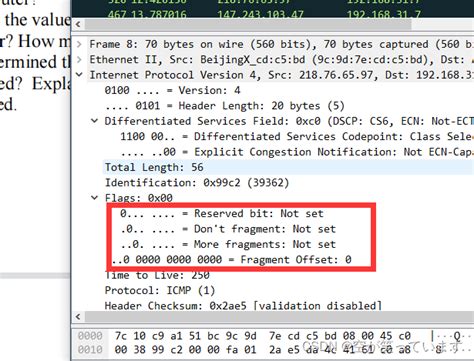 计网实验第四章：ip Csdn博客