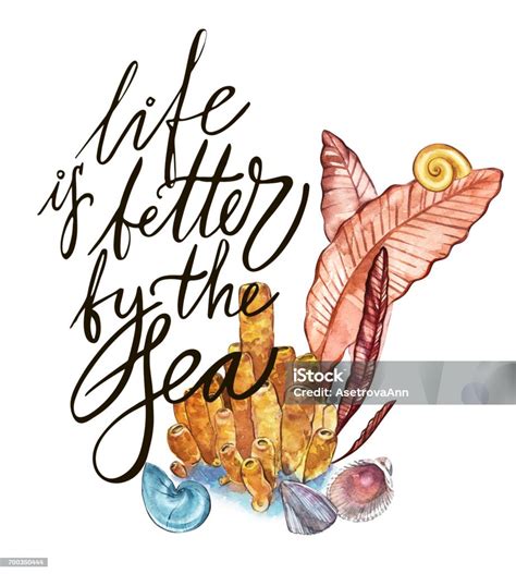 단어인생은 더 나은 바다 작곡 해 초 바다 삶과 산호 개체 흰색 배경에 고립 수채화 손으로 그린된 그림을 그려 수 중 수채화 배경 그림입니다 0명에 대한 스톡 벡터 아트 및