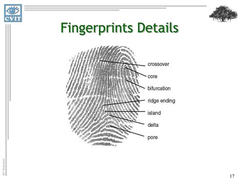 Ppt Cascaded Filtering For Biometric Identification Using Random