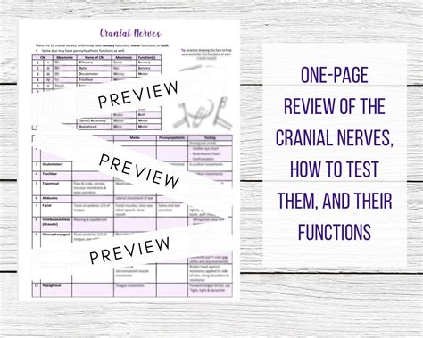 Cranial Nerves Nursing Cheat Sheet Nerve Function S And Tests Used For Them Health