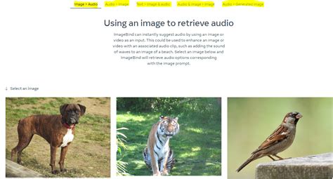 Imagebind By Meta Ai Ai Model That Binds Data From Six Modalities