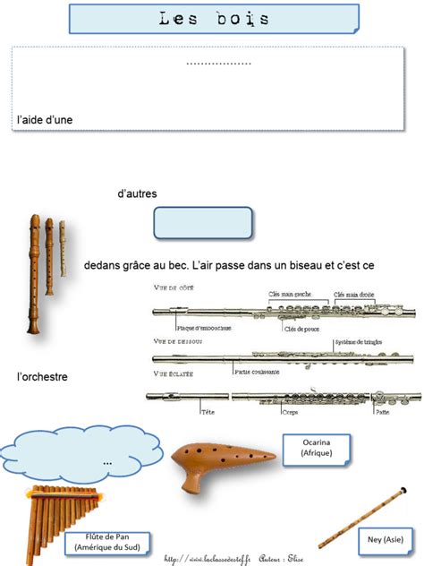 Instruments De La Famille Des Bois Pdf Hautbois Bois Musique
