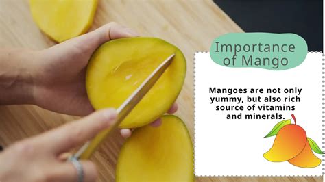 Mango The King Of Fruit Fun Facts About Mangoes Pptx