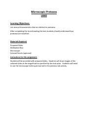 Exploring Microscopic Protozoa Lab For Identifying Course Hero