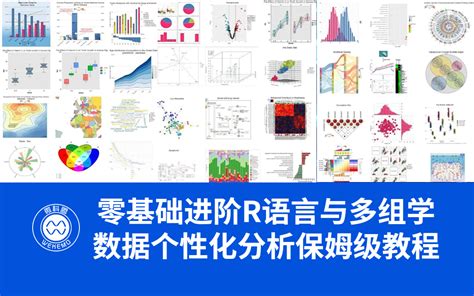 零基础进阶r语言与多组学数据个性化分析保姆级教程（包括微生物、转录组、代谢组、基 哔哩哔哩