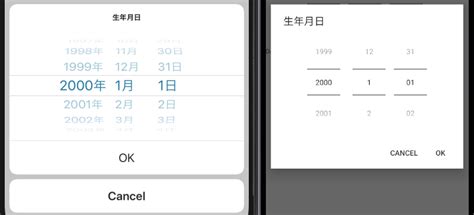 Nativescript で Locale を意識した Datepickertimepicker To Me Mo Rrow 未来の
