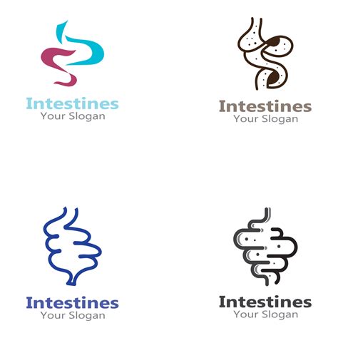 Intestine Human Logo Collections Digestion Organ Medical Design 9157133
