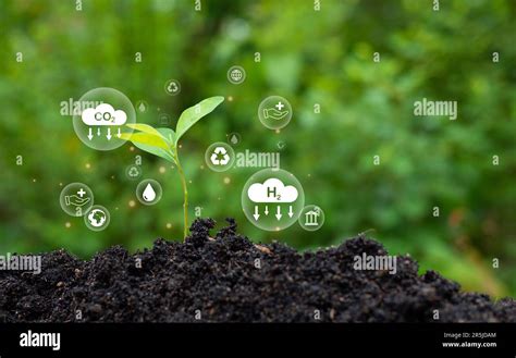 Co2 Emission Reduction Concept Clean And Friendly Environment Without