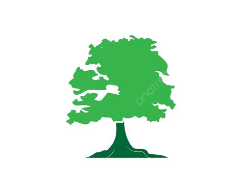 Tree Icon Logo Template Vector Isolated Root White Vector Isolated Root White PNG And Vector