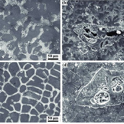 Microstructural Evolution Of In Situ Mg Matrix Composites In As Cast