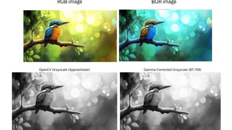 🔍 Why Grayscale Isnt Just “black And White” A Deep Dive Into Color