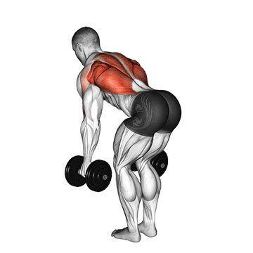 Barbell Bent Over Row Fitness Programer