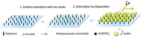 Schematic Diagram Of The Synthesis Of Au Nps Films As Uniform