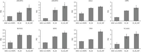 Gene Expression Of Hspc Niche Markers The Relative Gene Expression Of Download Scientific