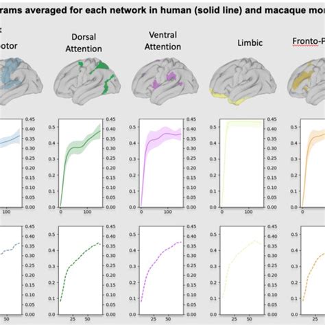 Variograms Calculated For Each Canonical Resting State Network Yeo