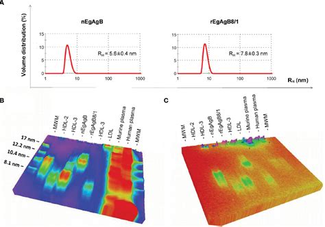 Figure 3 From Modulatory Actions Of Echinococcus Granulosus Antigen B On Macrophage Inflammatory