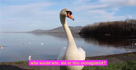 Future Greats 2023 Eimear Walshe Artreview