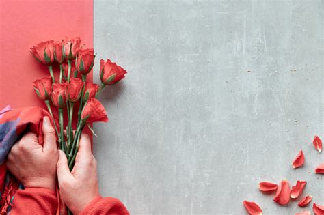 돌에 대각선 기하학적 종이 배경입니다 플랫 누워 빨간 장미와 활기찬 트렌디 한 색상 스카프 흩어져 있는 꽃잎을 들고 여성의 손