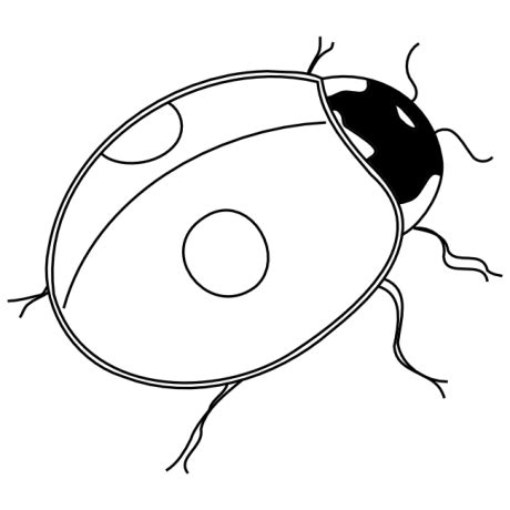 Arduinocore Mbed Ecosystem Directory Market Dev