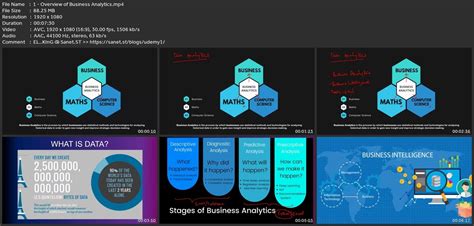 Business Analytics Online Class Softarchive