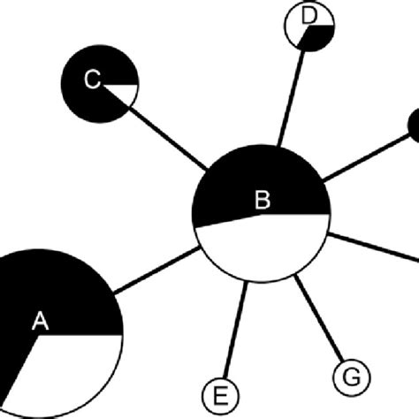 minimum spanning tree based on multilocus variable number tandem repeat