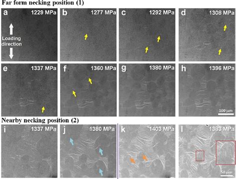 In Situ Observation Of The Lateral Surface Morphology Evolution Of Download Scientific Diagram