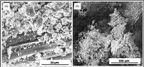 Figure 2 From Production Of Biochar And Its Potential Application In Cementitious Composites