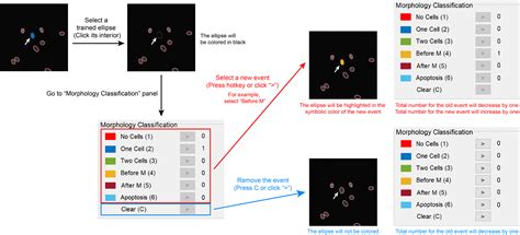 Training Data Gui — Elliptrack Documentation