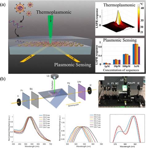 A Schematic Diagram Of A Dual Function Plasmonic Biosensor For The Download Scientific